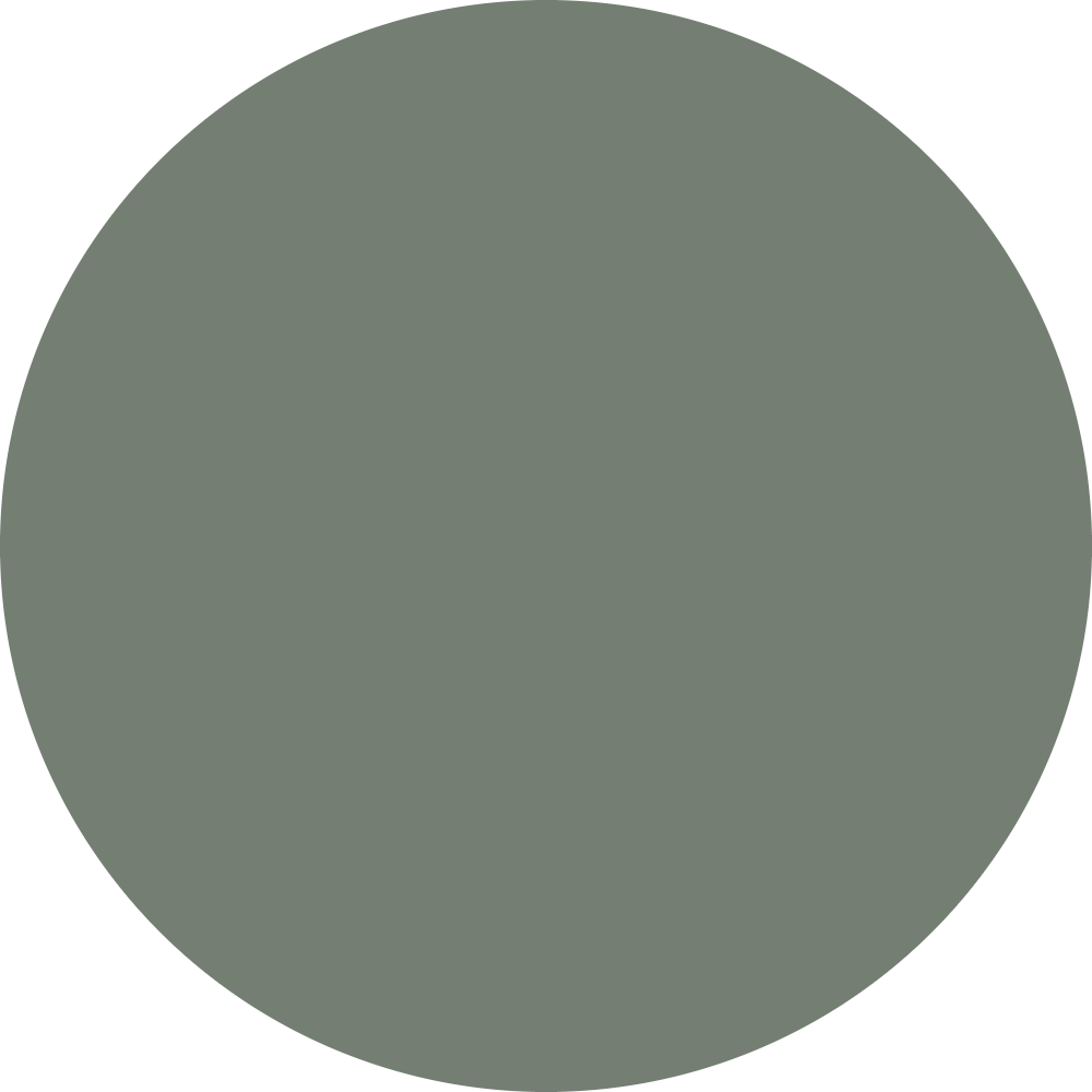 KwikCaps Self Adhesive Screw Cover Caps - Reed Green (996) U604 ST9 ...